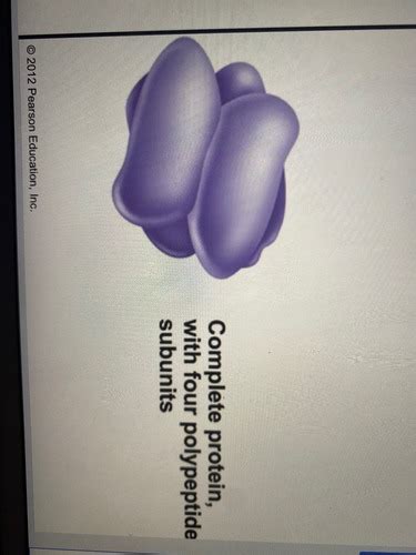 Anatomy Final Exam Flashcards Quizlet