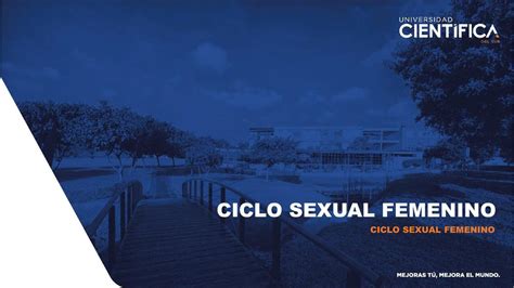 Ciclo Sexual Femenino Gonzalo Rodriguez UDocz