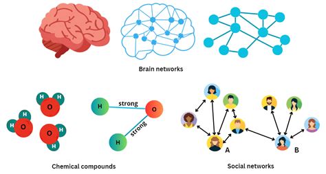 Brain Network Visualization
