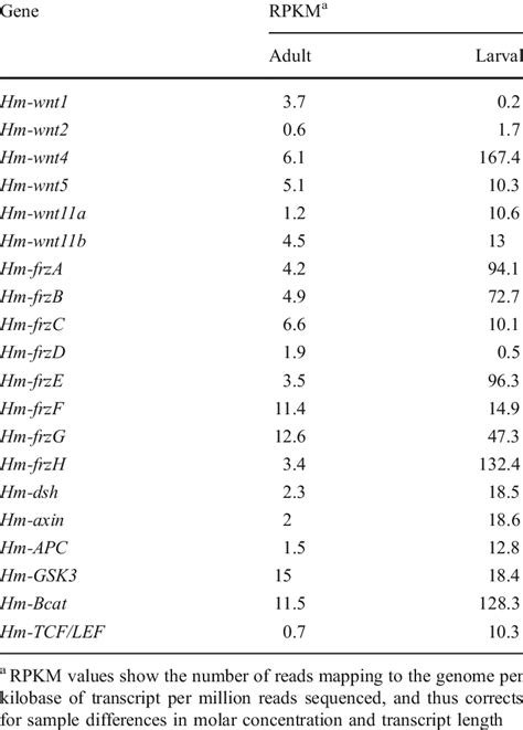 RPKM Values Indicating RNA Seq Expression Levels Of Wnts And Canonical