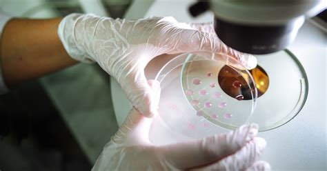 So What If The Bible Doesnt Mention Embryo Screening Christianity Today