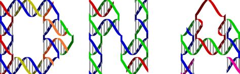 Dna Helix Drawer