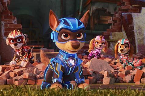 Paw Patrol Pup Names And Pictures Mighty