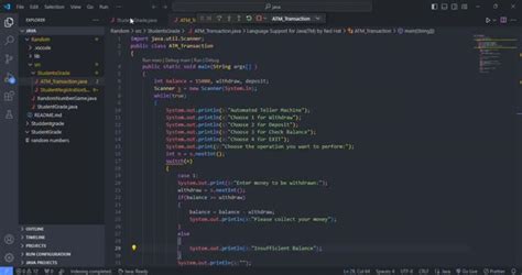Balamurali Alagarsamy On Linkedin Internship Javaprograming Codesoft