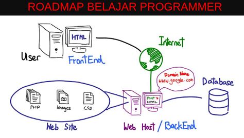 Roadmap Cara Belajar Programmer Pemula Gratis Hingga Mahir