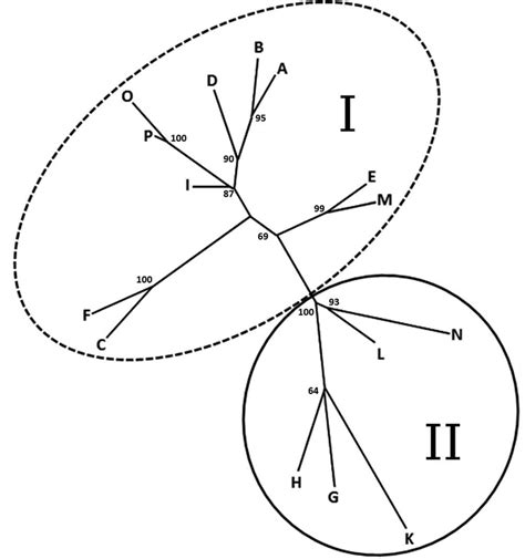 dendrogramm of cluster analysis of prunus spinosa populations using all