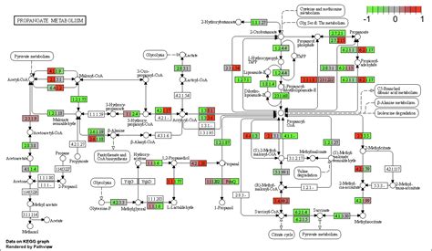 Ask For Help About The Function Of Pathview · Issue 5 · Datapplab