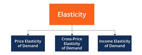 What Is Elasticity Explaining Types Of Elasticity In Finance And Economics