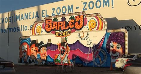 Mexico Master Of Avoiding Copyright Infringement Imgur