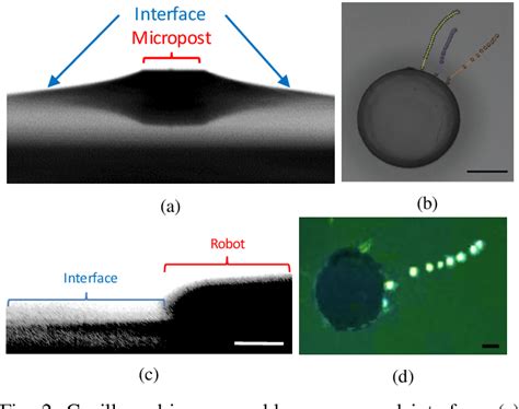 Figure 1 From Directed Micro Assembly Of Passive Particles At Fluid Interfaces Using Magnetic