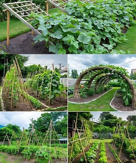 Maximize Garden Space 5 Genius Cucumber Trellis Designs You Can Build Yourself Trend Hub News