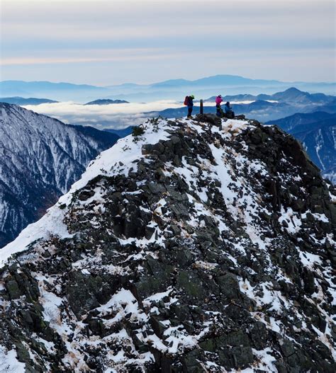 Climatic Variability And Species Range Size Laboratory For Ecology