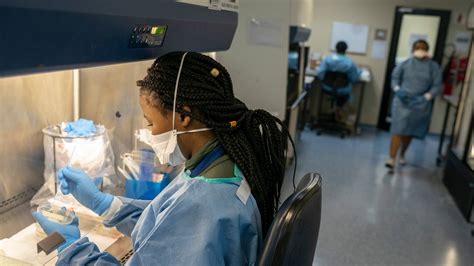 La Tuberculosis Más Letal Ya Tiene Cura Infobae