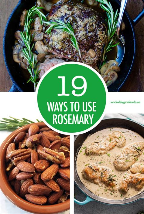 Rosemary Indian Recipes At Dane Wallace Blog
