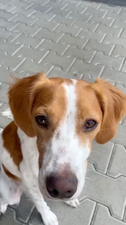 J Point Group On Linkedin Работата винаги е по лесна когато имаш готини колежки 🐾🧡