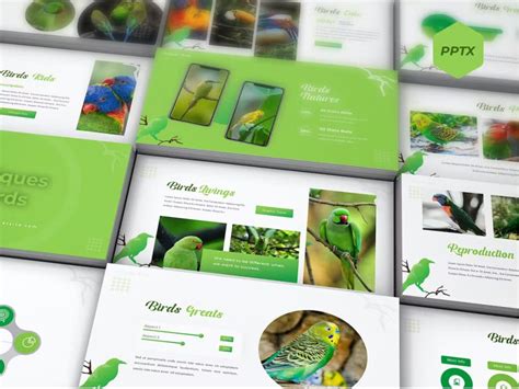 A Creative And Well Structured Presentation Design Upwork