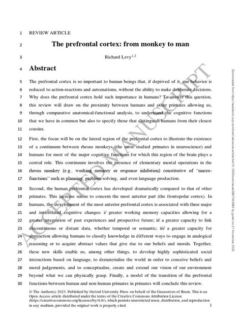 Pre Frontal Cortex Pdf Cerebral Cortex Prefrontal Cortex