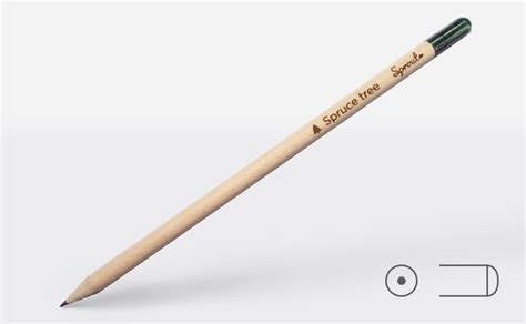 Sprout® Bleistift Spruce Tree