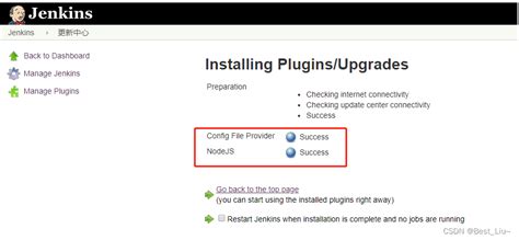 Jenkins构建打包部署前端vue项目至nginxjenkins打包部署vue项目到目标服务器中并使用nginx运行起来 Csdn博客