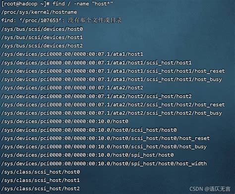 linux中的find命令 find perm 4000 csdn博客