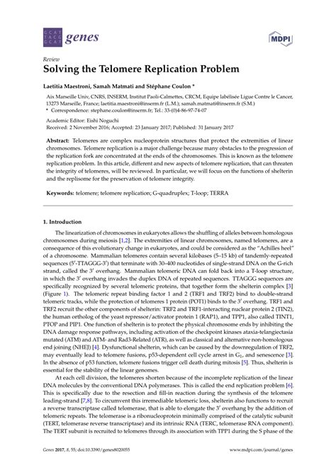 Pdf Solving The Telomere Replication Problem