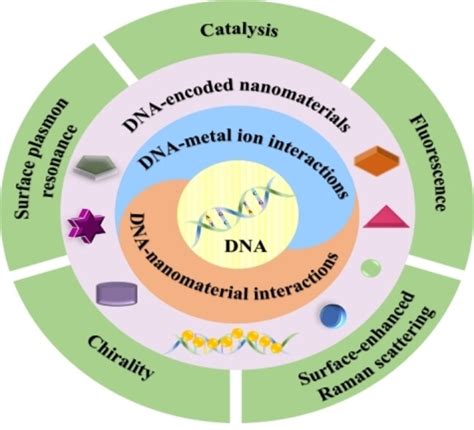 Nucleic Acid Biosensors Analysis And Sensing Chemistry Europe