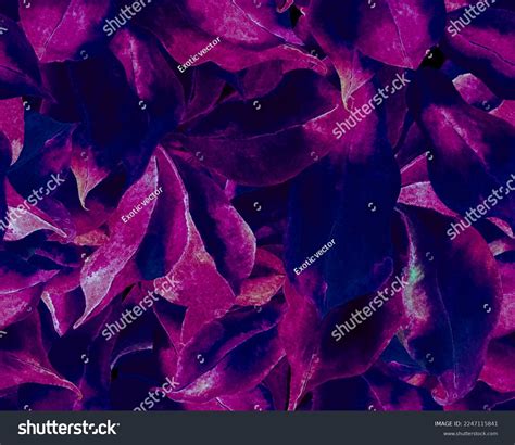 Schefflera Arboricola Seamless Pattern Schefflera Actinophylla Stock Illustration 2247115841