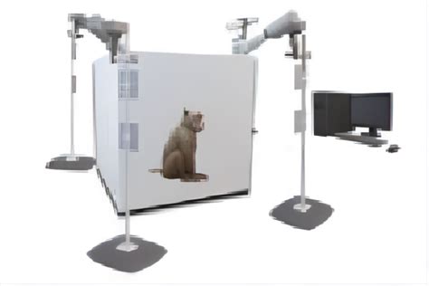 非人灵长类3d行为分析系统 苏州拉夫海思科技有限公司
