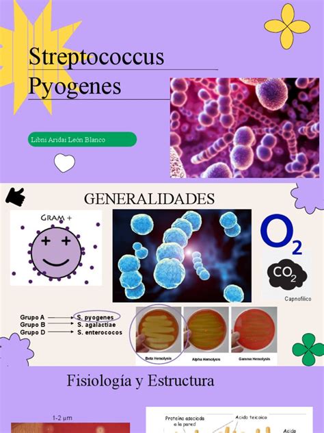 03 Streptococcus Pyogenes Pdf 03 Streptococcus Pyogenes Pdf