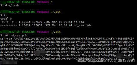 查看公钥报错 bash cd c users 13614 ssh no such file or directory bash