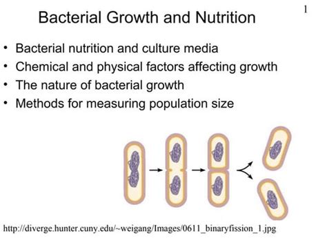 Classification Of Bacteria Based On Temperature Ph And Oxygen Reqiurement Doc Pdf Pdf