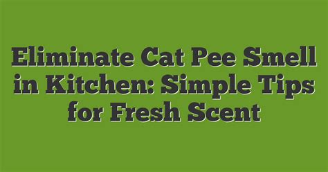 Feline Acne Causes And Treatments 7 Proven Solutions For Your Cat