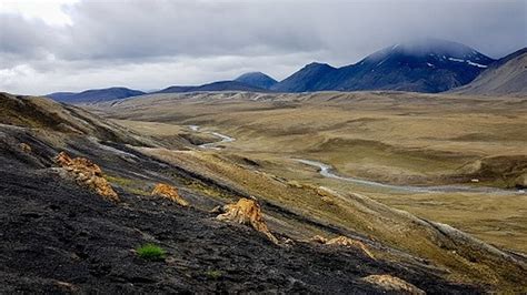 The Ancient Primate Relative Discovered In Antarctica