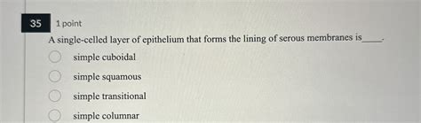 Solved 351 ﻿pointa Single Celled Layer Of Epithelium That