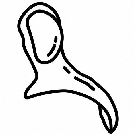 Themallleus Ear Bone Tiny Bones Diagram Examination Icon Download On Iconfinder