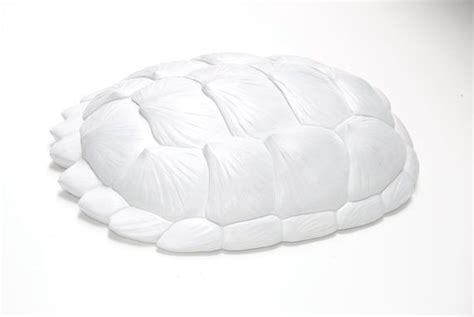 Turtle Shell Wall Decor