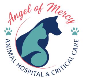 Angel Of Mercy Animal Critical Care San Antonio Tx Home