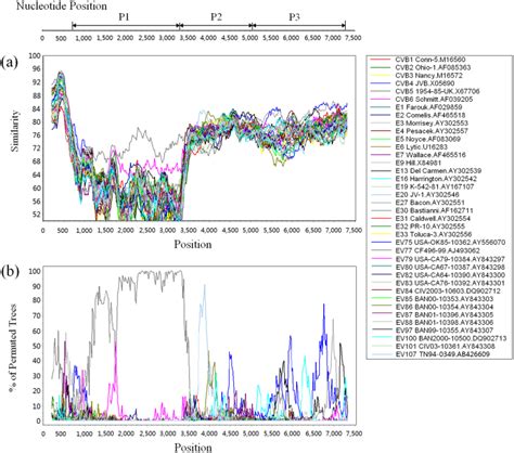 the analysis was conducted via simplot v3 5 1 using a sliding window of