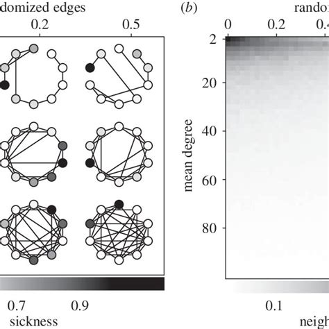 Simulation Over A Spatially Constrained Network A Examples Of The Download Scientific