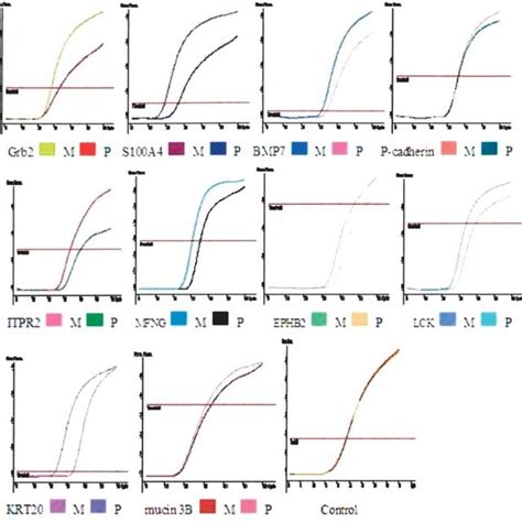A Coincidence Between The Real Time Rt Pcr Data And Cdna Microarray
