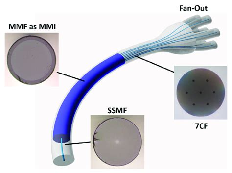Layout Of The Vector Bend Sensor Using A Standard Single Mode Fiber And