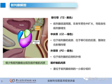 【ppt】前列腺癌的mr扫描规范及精准诊断 影像ppt