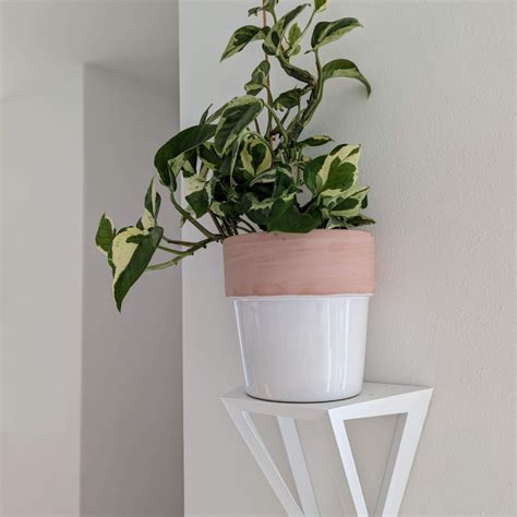 3d Printable Wireframe Shelf By Js