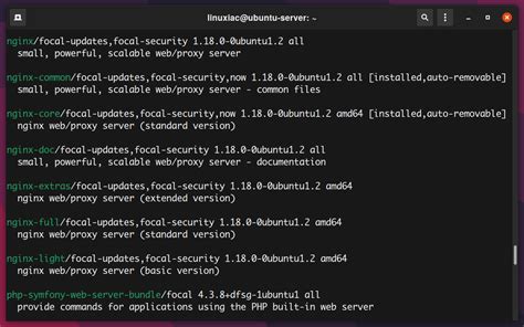 linux apt command in examples for ubuntu debian mint users