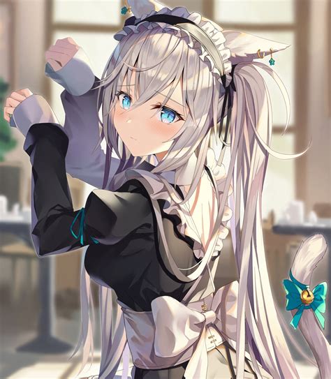 Shy Neko Girls Wallpapers Wallpaper Cave