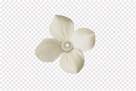 White Transparency And Translucency Others Poster Grey Flower Png