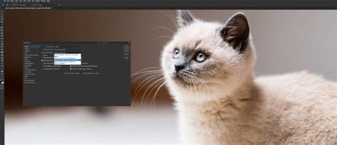 How To Use Image Interpolation In Photoshop For Flawless Image Resizing
