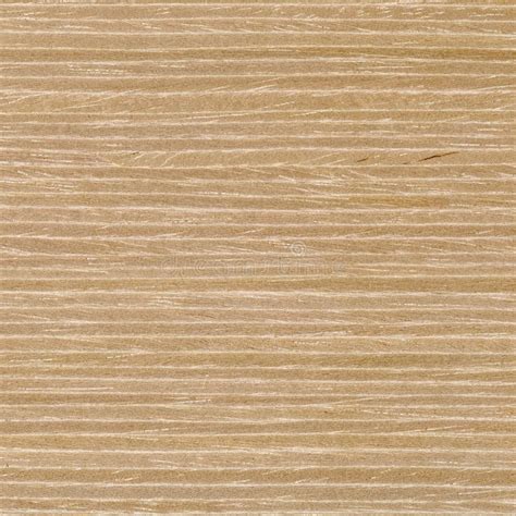 Textura De Madera De Haya Imagen De Archivo Imagen De Estilo 39942043