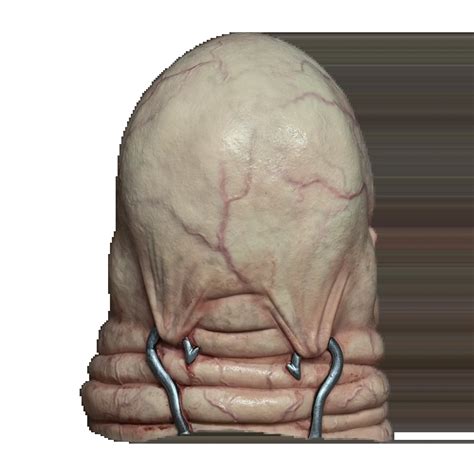 Hellraiser Butterball Mask Mad About Horror Uk Stock