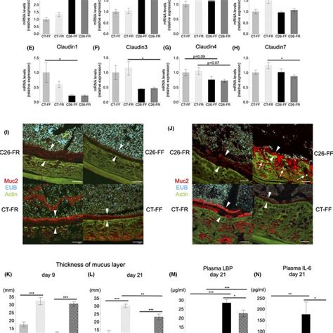Analysis Of Gut Barrier Function And Bacterial Translocation A‐h Mrna Download Scientific